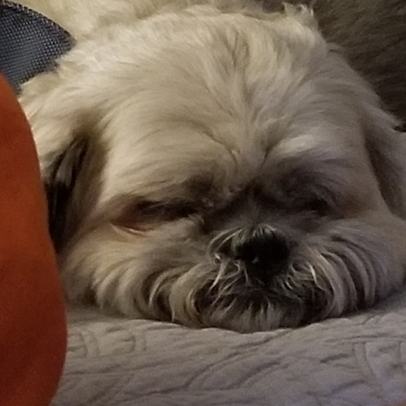 Free People | Other | Live Show Notification Please Like To Be Notified ...